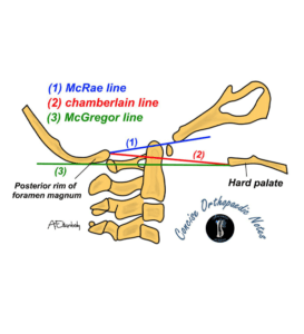 MCQs - Orthopaedic Academy
